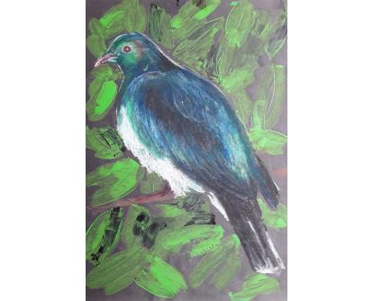 Drawing with Pastels: Kereru » Paint 'n' Sip Studio | Christchurch, New ...